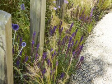 Voortuin in Strandsfeer – StyleGardens