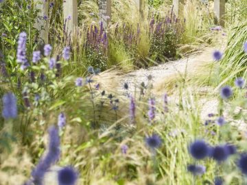 Voortuin in Strandsfeer – StyleGardens